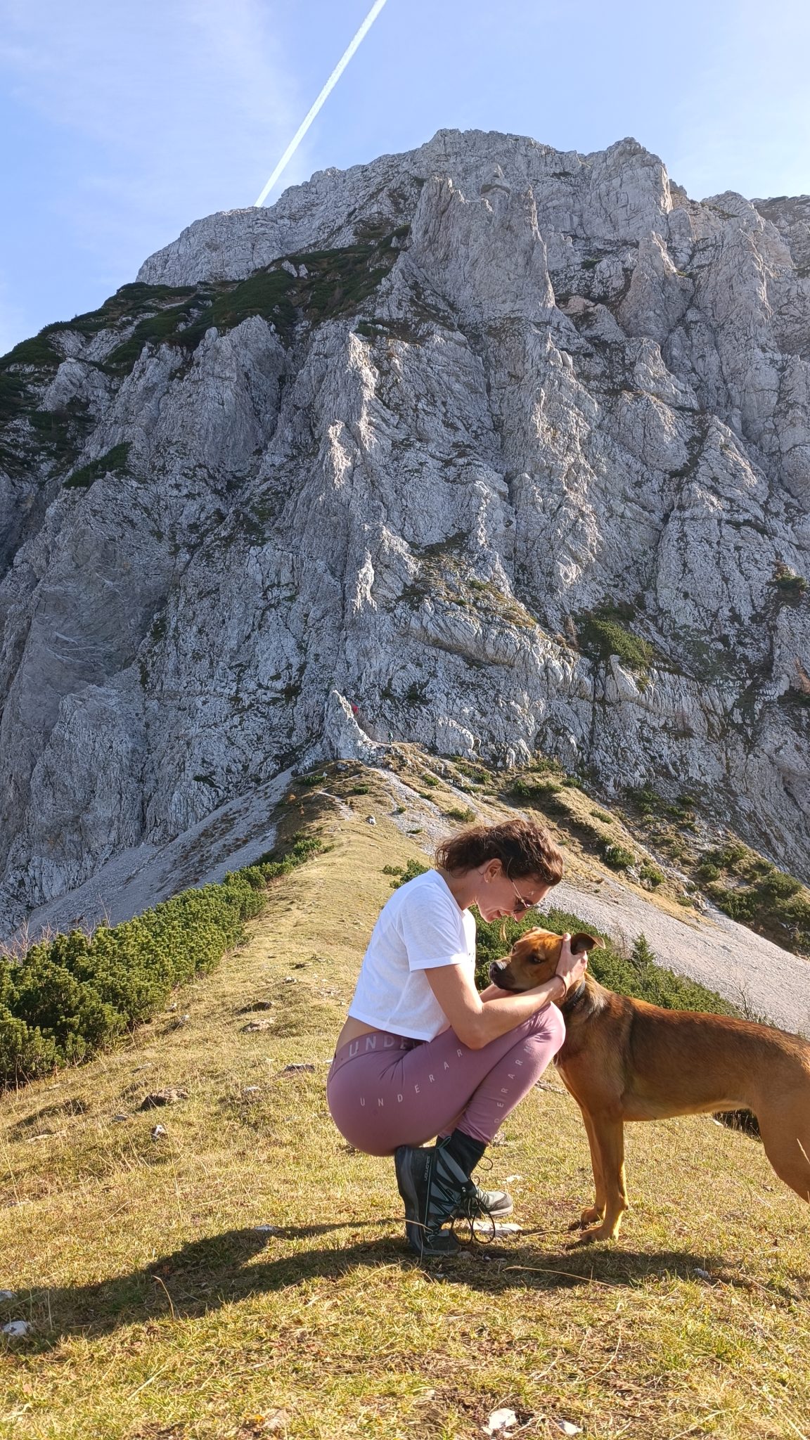 V hribe s psom – najlepše pohodniške poti v Sloveniji - Sanja Macur