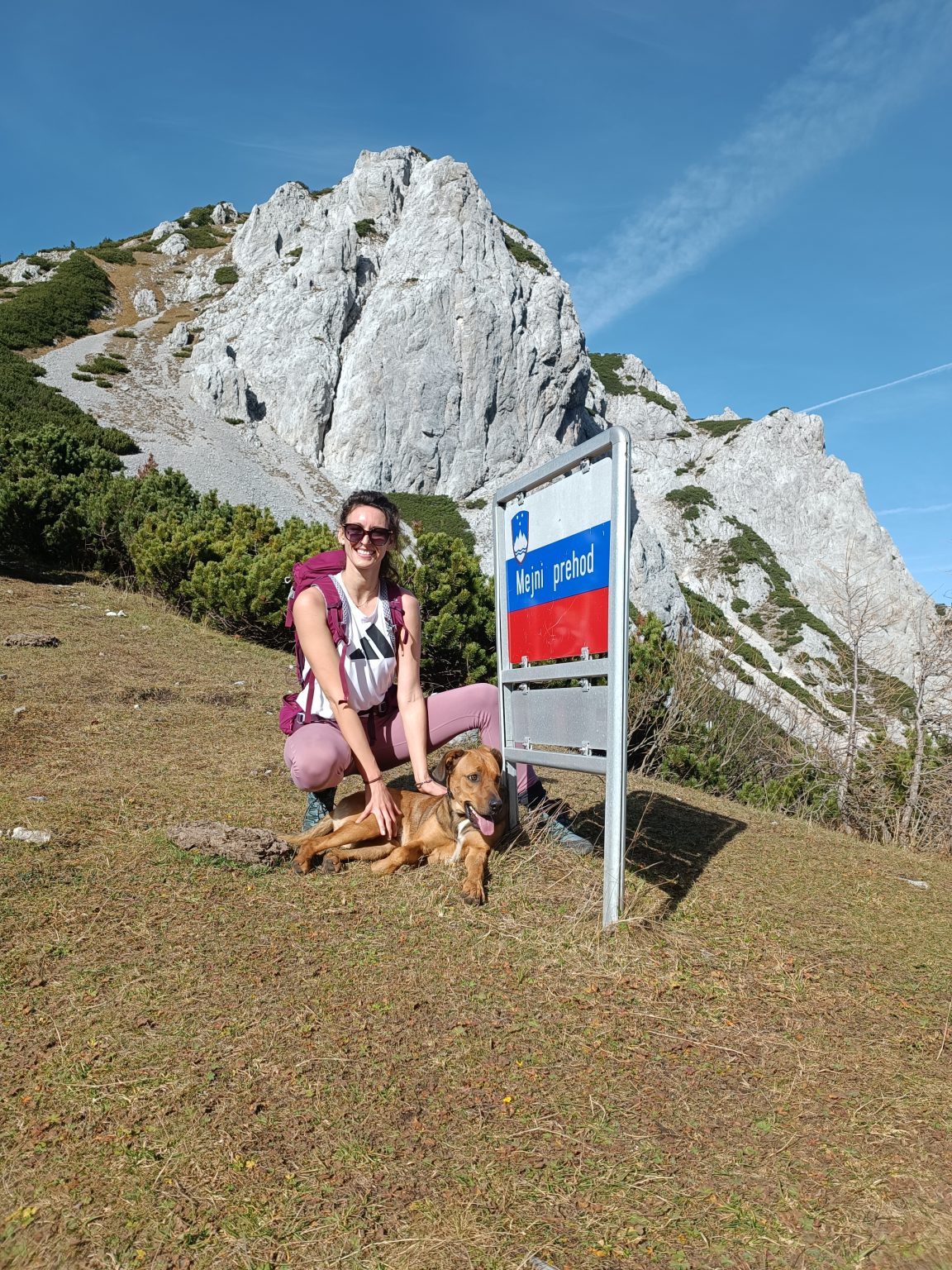 V hribe s psom – najlepše pohodniške poti v Sloveniji - Sanja Macur