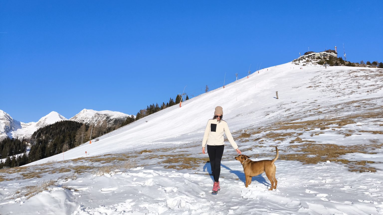 V hribe s psom – najlepše pohodniške poti v Sloveniji - Sanja Macur